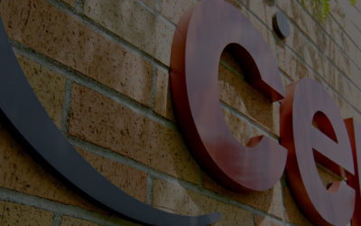 Cerium Networks - IT Consulting - Unified Communications Services