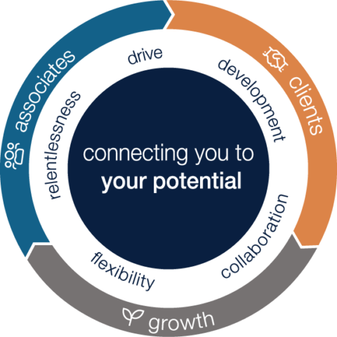 Careers - Cerium Networks
